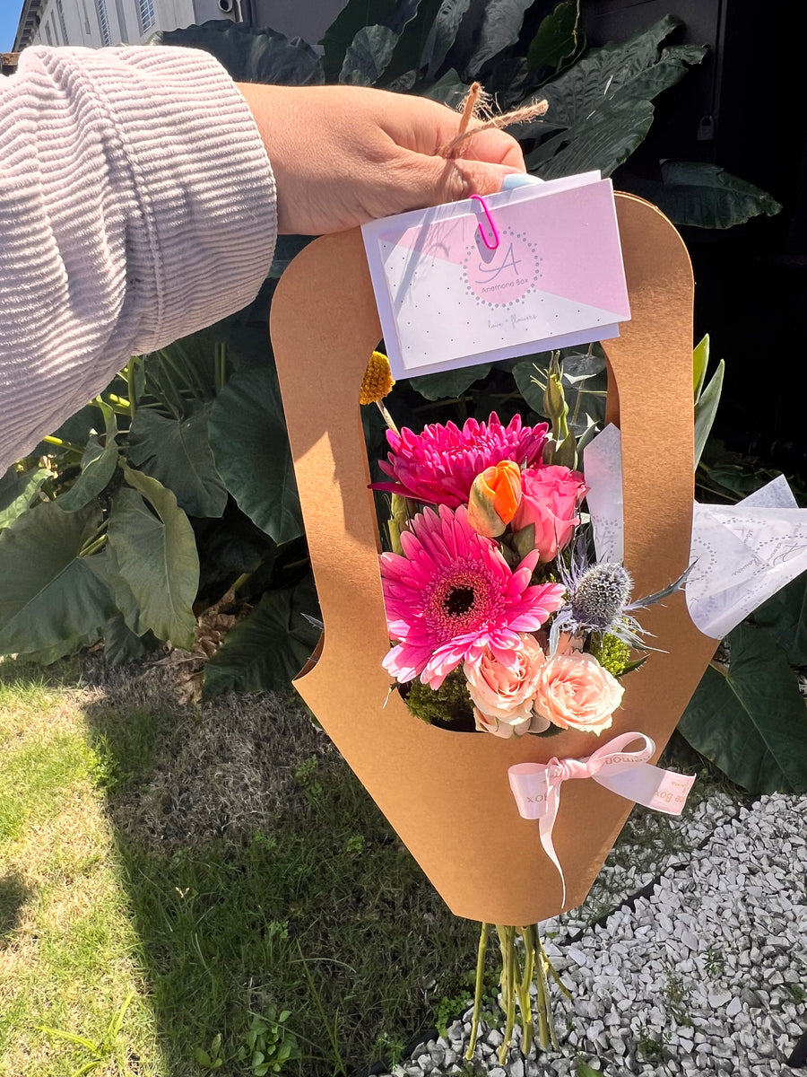 Florencia – Anemone Box