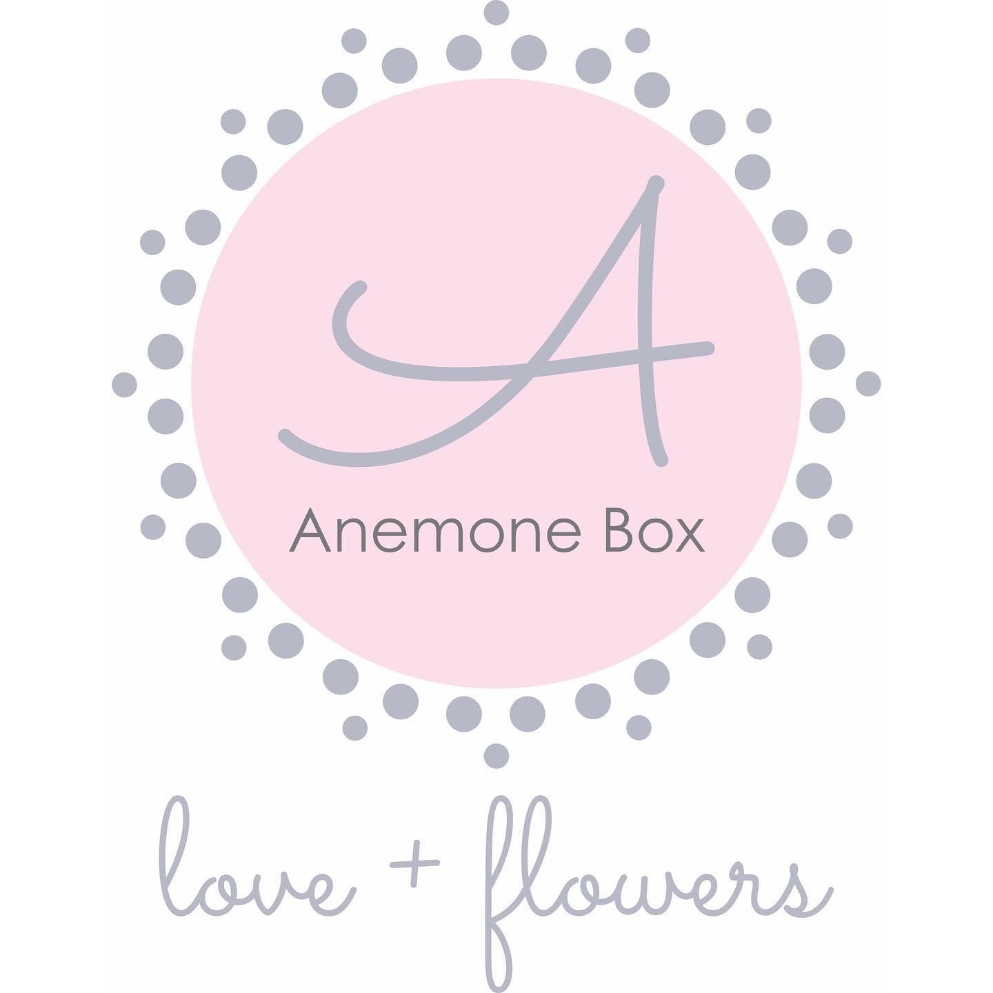 Colecciones – Anemone Box