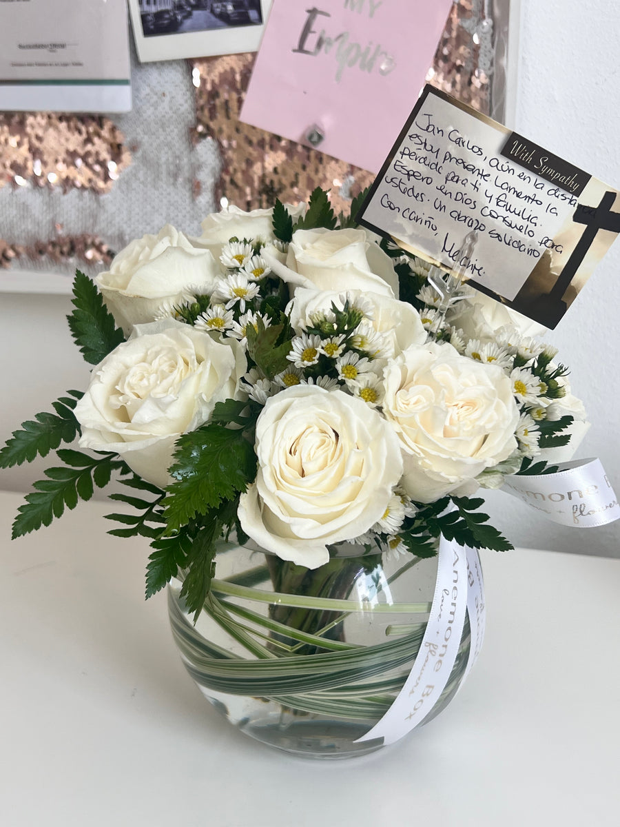 Contigo – Anemone Box