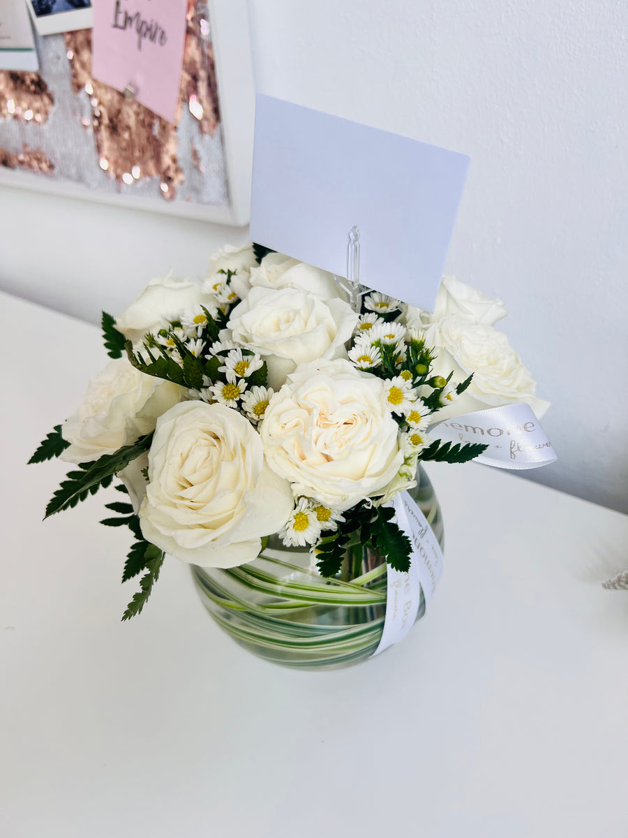 Contigo – Anemone Box