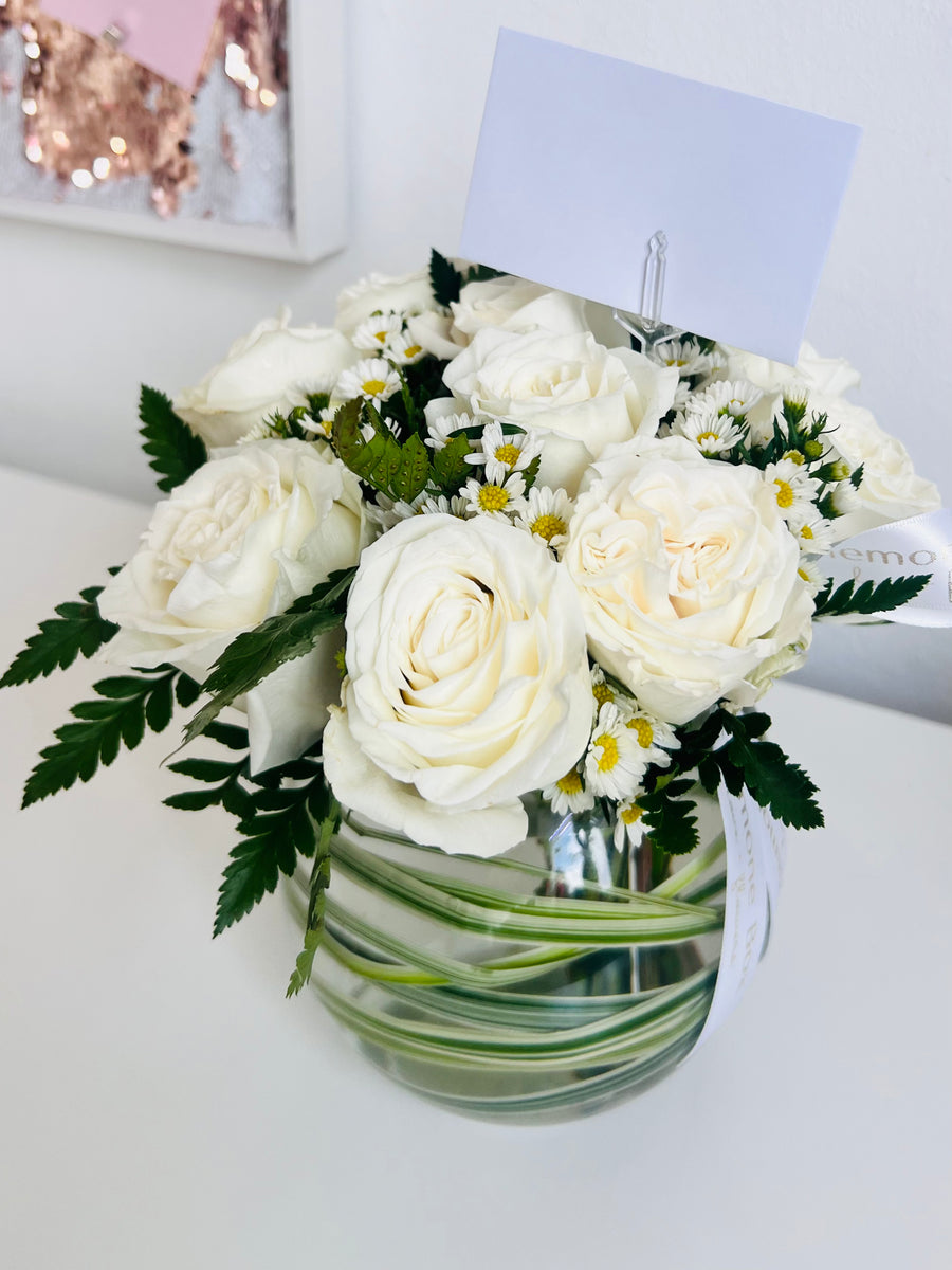 Contigo – Anemone Box